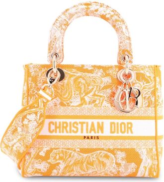 Dior Toile de Jouy Lady D-Lite Bag Embroidered Canvas tote bag - Orange