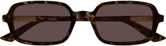 Chlo&eacute; Femme, Accessoires, Brun, Taille: 53 MM Ch0363S Lunettes de soleil