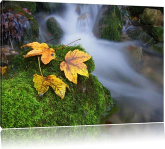 Pixxprint Herbst Steine bunte Blätter Moos Gräser Wald, Größe: 60x40cm, Leinwandbild, fertig gespannt, Wandbild, Dekoration, Kunstdruck, kein Poster