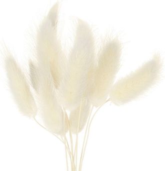 Generic 10 St&uuml;ck / Set Trockenblumen Rosenbl&auml;tter f&uuml;r Dekoration Hochzeit Zimmer Hochzeit Blumen Zubeh&ouml;r attraktiv