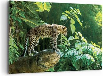 Arttor Bilder auf Leinwand 100x70cm Leinwandbild Dschungel Leopard Panther Gro&szlig; Wanddeko Bild Schlafzimmer K&uuml;che Deko Wandbilder Dekoration Wohnzimmer Wall D