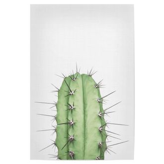 artboxONE Poster 45x30 cm Pflanzen & Bl&auml;tter Natur One Cactus - Bild Kaktus Kaktus Pflanze
