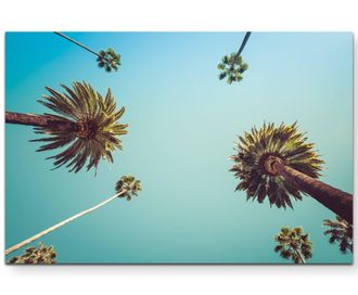 Paul Sinus Art Leinwandbilder | Bilder Leinwand 120x80cm Palmen - Los Angeles
