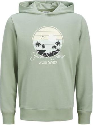 Jack & Jones Jjpalm Sweat à Capuche, Iceberg Green, M
