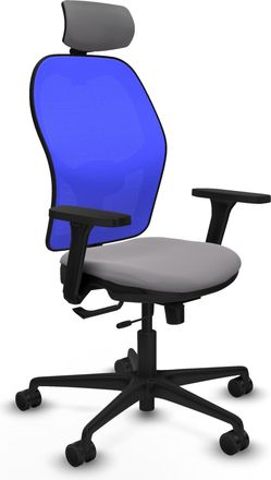 Piqueras y Crespo Ergonomischer Stuhl mit Lendenwirbelst&uuml;tze mit 3D-Armlehnen und h&ouml;henverstellbarem Kopfteil, ausgestattet mit Syncro/Traslack und eingespritztem Schau