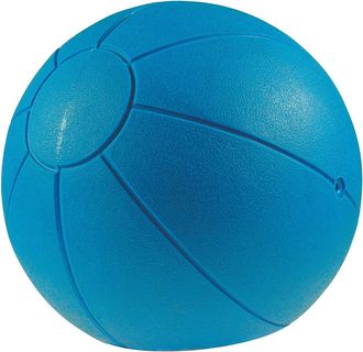 Sport-Tec TOGU Medizinball Fitnessball Gewichtsball Rehaball aus Ruton 21 cm, 0,8 kg, BLAU