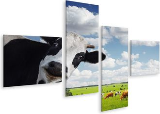 Islandburner Bild auf Leinwand Lustige Kuh Auf Ländlicher Wiese Bilder Wandbilder Poster