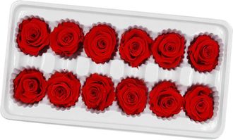 BESPORTBLE jojofuny 12 St&uuml;ck Teiliges Ewige Rosenbl&uuml;ten Rot f&uuml;r Valentinstag DIY Blumenstrau&szlig; Basteln Hochzeitsdekoration Langlebige Konservierte Immortal Flower