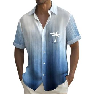 Generic Chemise hawa&iuml;enne en lin pour homme &agrave; manches courtes - Polo boutonn&eacute; - Motif floral - Coupe droite - Respirant - Classique, C-Light Blue, 3XL