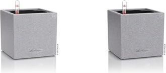 Lechuza Canto Stone 14 hochwertiger Kr&auml;uterw&uuml;rfel mit Stick-Bew&auml;sserungssystem, steingrau (Packung mit 2)