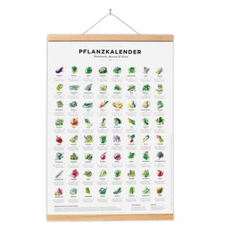 531 Rheinland Design Pflanzkalender und Aussaatkalender f&uuml;r den Garten, Aussaatzeiten f&uuml;r 64 verschiedene Gem&uuml;sesorten als Poster in Farbe mit und ohne Rahmen (50 x 70 cm,
