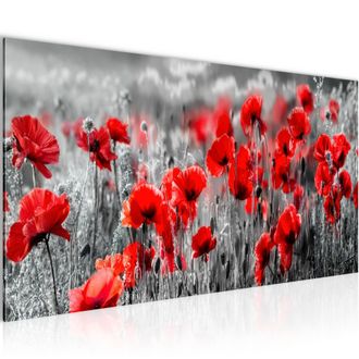 Runa Art Wandbild Blumen 100L x 40B cm Modern Bild auf Vlies Leinwand Rot Wohnzimmer Schlafzimmer B&uuml;ro Blumen 059312b