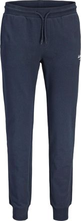 Jack & Jones Hose JPSTGordon