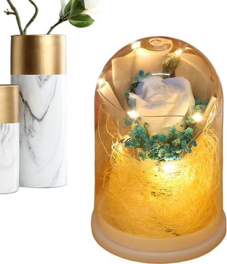 Generic Eternal Preserved Flower Faux - Rose Glass Dome, Infinity Rose with LED Light | Preserved Flower Night Lamp for Desk Decor, Romantic, Gift, Mom, Women