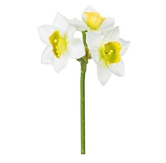 Eurocinsa Ref.76001C01 Orange mit 3 Blumen und 1 Kapsel weiß-gelb, Schachtel mit 24 Stück, 12 cm