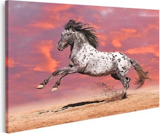 Islandburner Prime Bild auf Leinwand Springendes Gepflecktes Pferd Vor Rosa Himmel - Leinwand 80x40cm