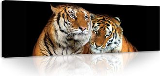 ForWall Leinwand Bilder - Tiger Afrika Tiere - 145x45 cm Leinwandbilder - Bild auf leinwand - Wandbild XXL gro&szlig; Wandbilder f&uuml;r Wohnzimmer Schlafzimmer Wohnzim
