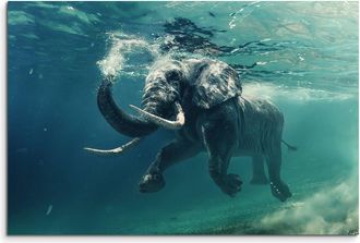 Paul Sinus Art Sinus Art Wandbild 120x80cm Tierfotografie - Schwimmender Elefant unter Wasser