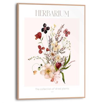 Reinders Gerahmtes Bild, Herbarium, Wohnzimmer, Poster, Wanddeko, Room Decor, MDF, Mehrfarbig, 40 x 30cm