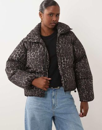 Brave Soul Steppjacke mit Leopardenmuster-Multi