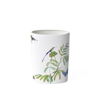 Villeroy & Boch Amazonia Vase hoch 29 cm