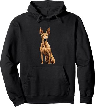 Whyitsme Design Pharao-Jagdhund-Abbildung Pullover Hoodie