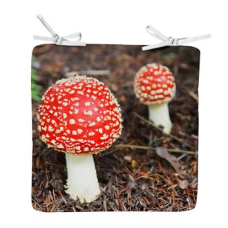 Fabulous Stuhlkissen, quadratisch, kleine Amaniten, Fliegenpilz, rot und weiß, 40 cm