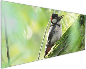 Wallario K&uuml;chenr&uuml;ckwand aus Glas 125 x 50 cm, Motiv: Specht im gr&uuml;nen Versteck | Spritzschutz abwischbar & pflegeleicht