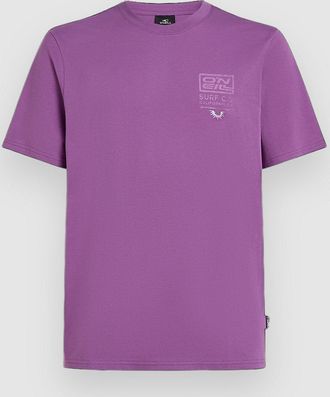 O'Neill Retro Graphic T-Shirt sweet grape