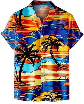 Generic Chemises hawaïennes à fleurs pour hommes : chemise tropicale à manches courtes pour hommes, chemise de plage dété, chemise de vacances décontractée, c