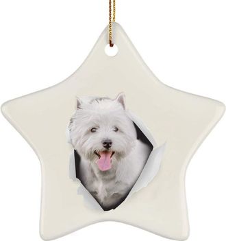 Generic Weihnachtsbaum Deko Mit Hanfseil Weihnachten Ornamente Keramik Christbaumschmuck Anhänger Der Lustige Westie White Kommt Aus Einer Rissigen Wand