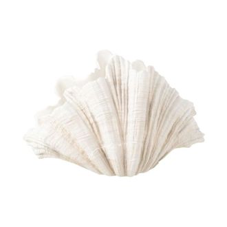 Paris Prix Vase Coquillage en R&eacute;sine Puglia 57cm Blanc