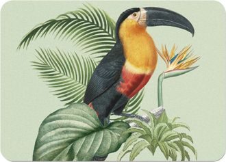 Fabulous Platzsets, weich, Unterseite aus Kork, Deckchen, Ara, tropischer Vogel, exotisch, Dschungel, Tukan, Papagei, groß, 39,5 x 28,5 cm, 4 Stück