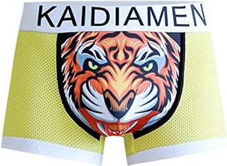 Generic Boxers pour homme avec trous en maille - Respirant - Avec imprim&eacute; amusant de dessin anim&eacute; - Taille &eacute;lastique - Doux et id&eacute;al - Sous-v&ecirc;tements d&eacute;contra