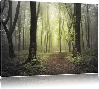 Pixxprint Weg im Wald, Gr&ouml;&szlig;e: 100x70cm, Leinwandbild, fertig gespannt, Wandbild, Dekoration, Kunstdruck, kein Poster