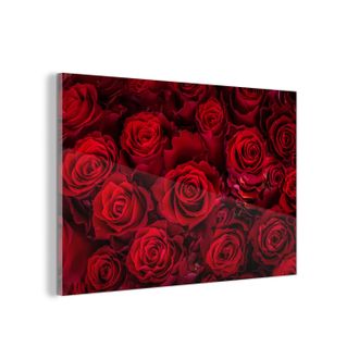 MuchoWow Glasbild Glasfoto Wandbild Bilder Deko 90x60 cm Blumen - Rosen - Rot