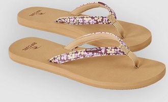 Rip Curl Freedom Bloom Open Toe Sandalen dark plum