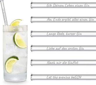 Halm HALM Glasstrohhalme Gin Geschenkset 6 lustige Sprüche auf 20 cm Glas Strohhalmen graviert in Deutsch Glastrinkhalme als Gin Tonic Geschenk