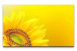 Paul Sinus Art Bilder XXL Sonnenblume Nahaufnahme 120x70cm Wandbild auf Leinwand