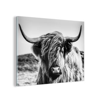 MuchoWow Glasbild Glasfoto Wandbild Bilder Deko 80x60 cm Kuh - Schottischer Hochländer - Schwarz - Weiß - Tier - Natur - Wildtiere