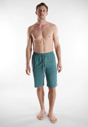 Tom Tailor Bermudas TOM TAILOR, Herren, Gr. 48, N-Gr, gr&uuml;n, mittel, ui, Single Jersey, Obermaterial: 100% Baumwolle, Hosen Bermudas