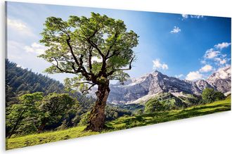 Islandburner Bild auf Leinwand Karwendelgebirge In &Ouml;sterreich Alpen Bilder Wandbilder Poster