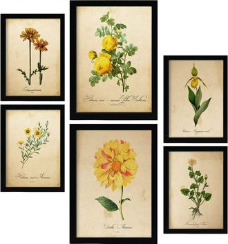 Nacnic Gelbe Blumen Postern. Vollfarbige Natur- und Botanikdrucke mit Blumenmotiven im Vintage Papier Stil. Innenarchitektur und Dekoration. A4 & A3 Schwarze