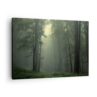 Arttor Bilder auf Leinwand Wald Nebel Baum Leinwandbild mit Rahmen 70x50cm Wandbilder Dekoration Wohnzimmer Schlafzimmer Küche Deko Klein Wanddeko Bild Wand 