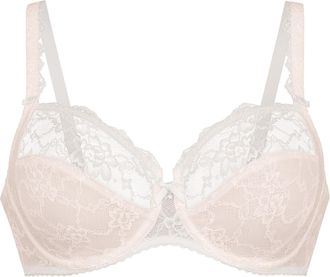 Rosa Faia BH Bobette