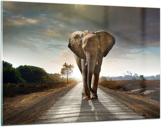 Arttor Wandbilder Dekoration Wohnzimmer Elefant Straße Landschaft Bilder auf Glas 120x80cm Glasbild Schlafzimmer Küche Deko Wand Kunstdruck Art Groß XXL Wand