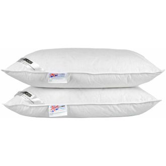 Homescapes Homescapes - Lot de 2 oreillers naturels en plumes et duvet de canard, 50 x 75 cm