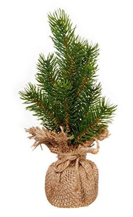 ASA Deko Mini Kiefer 25cm