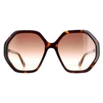 Chloé Chloe Round Womens Dark Havana and Brown Crystal Brown Gradient CH0008S Esther