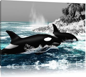 Pixxprint schöne Orcas vor Insel B&W, Größe: 100x70cm, Leinwandbild, fertig gespannt, Wandbild, Dekoration, Kunstdruck, kein Poster